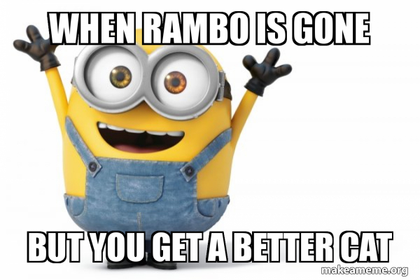 when rambo is gone but you get a better cat - Happy Minion Meme Generator