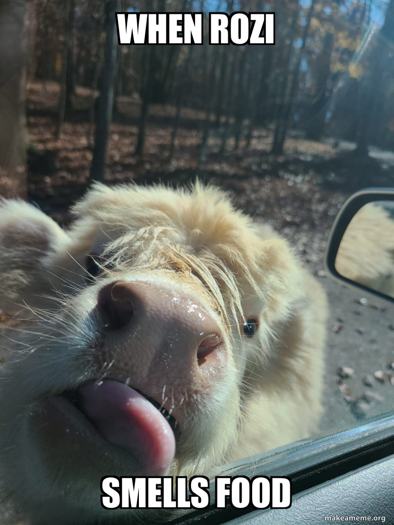 when rozi smells food Meme Generator