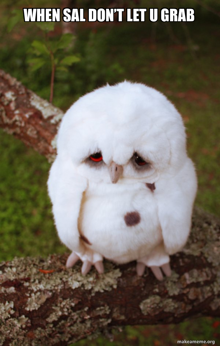 When sal don’t let u grab - Sad Owl Meme Generator