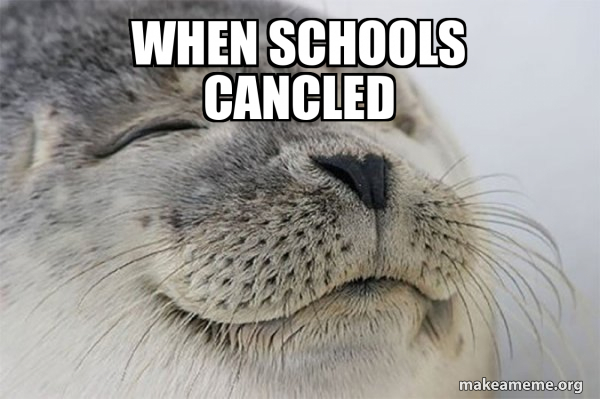 when schools cancled - Satisfied Seal Meme Generator
