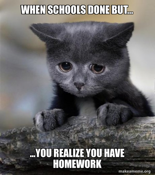 When schools done but... ...you realize you have homework - Confession ...