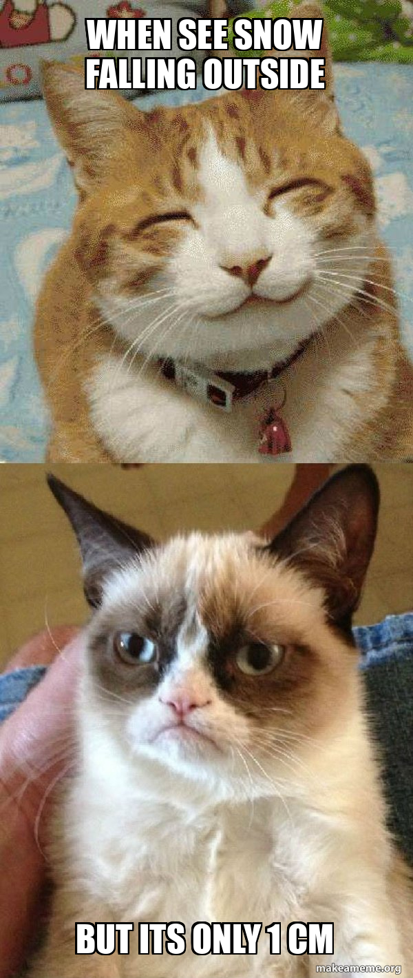 when see snow falling outside but its only 1 cm - Grumpy Cat vs Happy ...