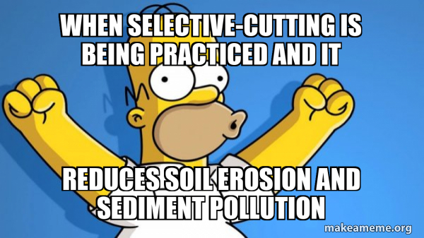 when selective-cutting is being practiced and it reduces soil erosion ...