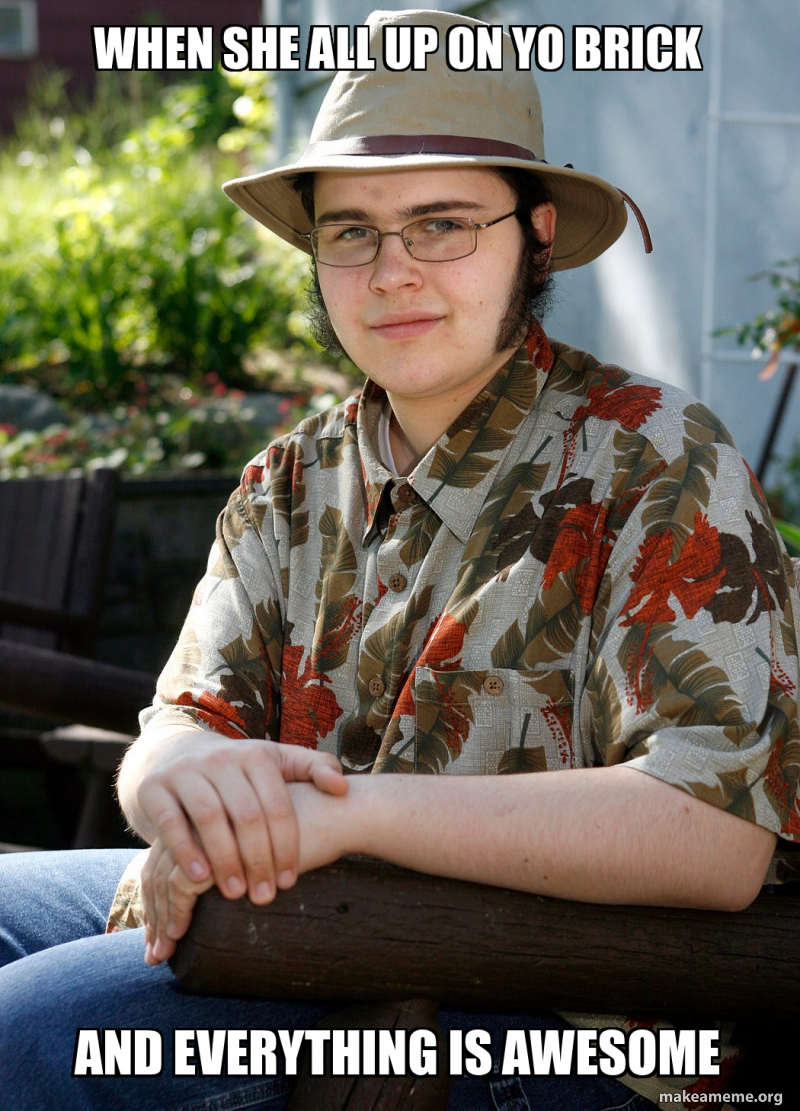 When she all up on yo brick And everything is awesome Meme Generator