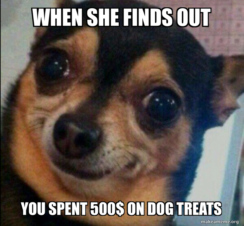 When she finds out You spent 500$ on dog treats Meme Generator