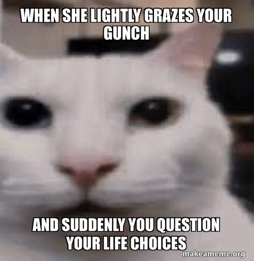 When she lightly grazes your gunch And suddenly you question your life ...