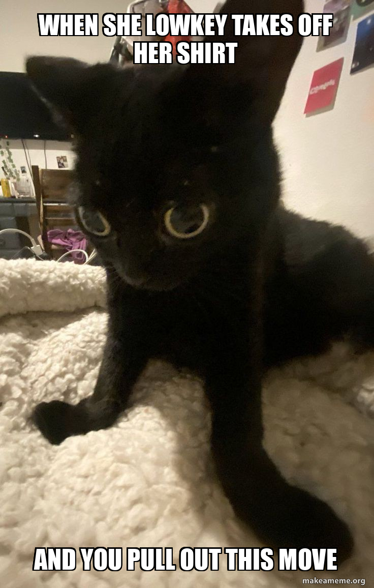 When she lowkey takes off her shirt and you pull out this move Meme ...