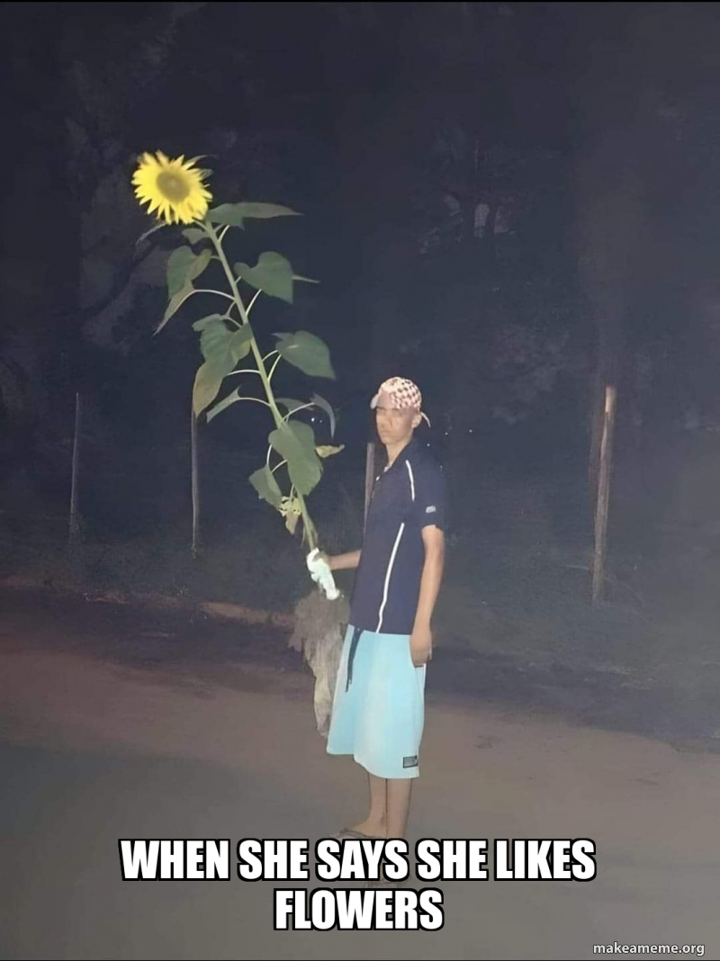 When she says she likes flowers Meme Generator
