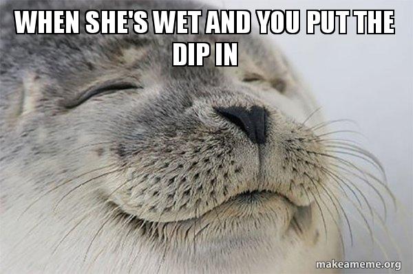 Wet Meme Lolcats Wet LOL At Funny Cat Memes Funny Cat Pictures