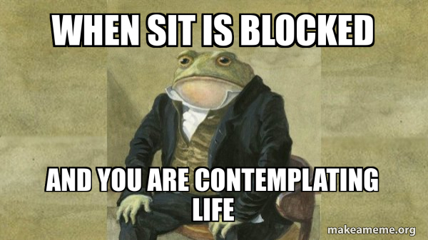when SIT is blocked and you are contemplating life - Colonel Toad Meme ...
