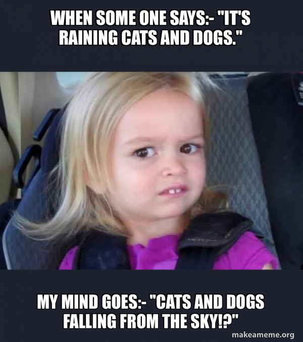 WHEN SOME ONE SAYS:- ''It's raining cats and dogs.'' MY MIND GOES ...