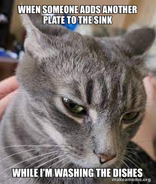 When someone adds another plate to the sink while i'm washing the ...