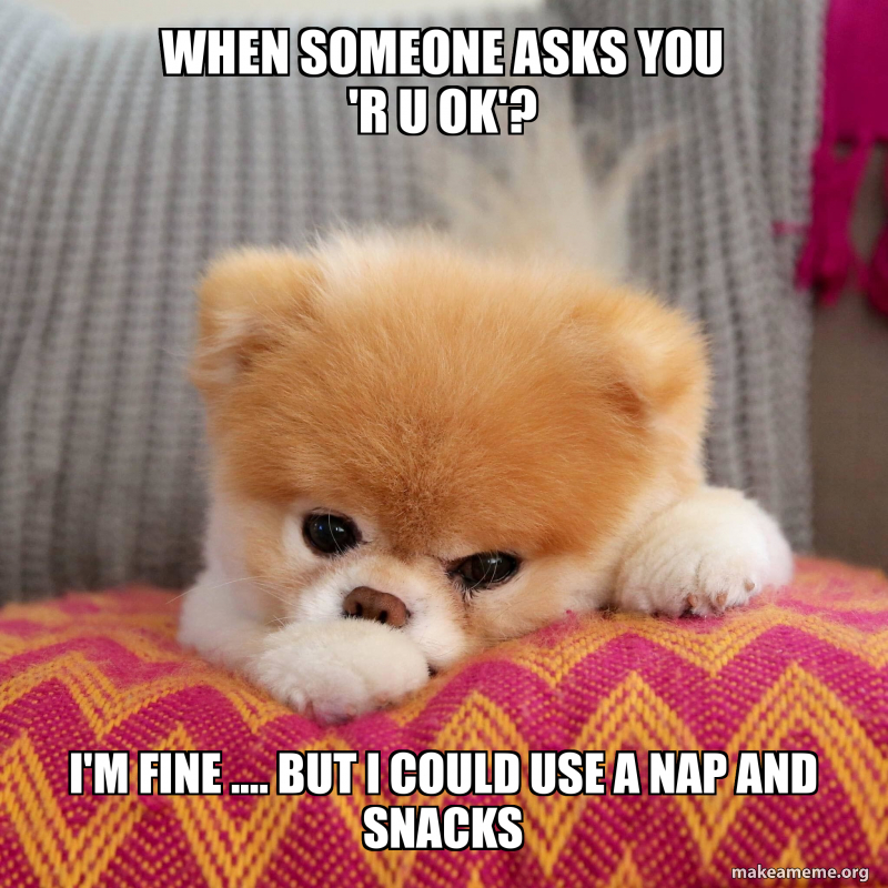 when someone asks you 'r u ok'? i'm fine .... but i could use a nap and ...