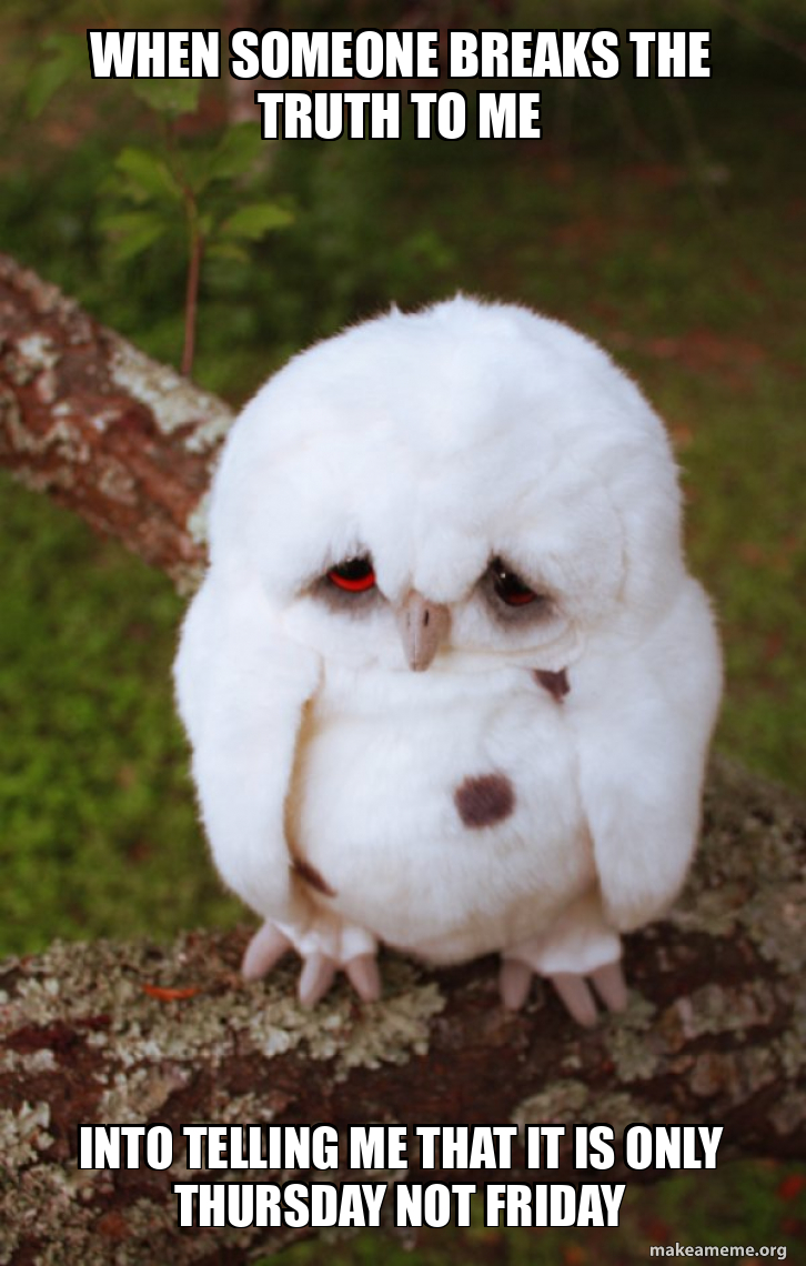 When someone breaks the truth to me Into telling me that it is only ...