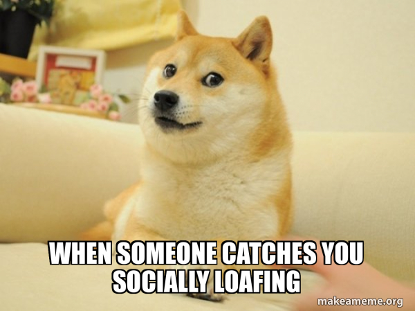 when someone catches you socially loafing - Doge Meme Generator