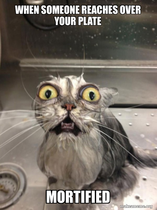 When someone reaches over your plate mortified - Cat bath Meme Generator