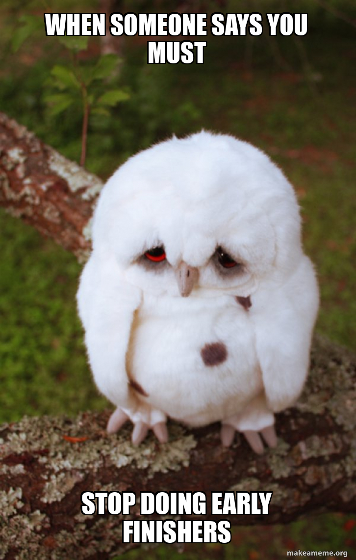 When someone says you must stop doing early finishers - Sad Owl Meme ...