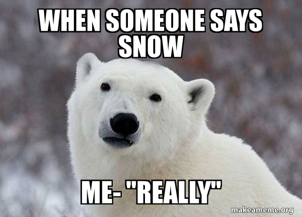 when someone says snow me- "really" - Popular Opinion Polar Bear Meme ...
