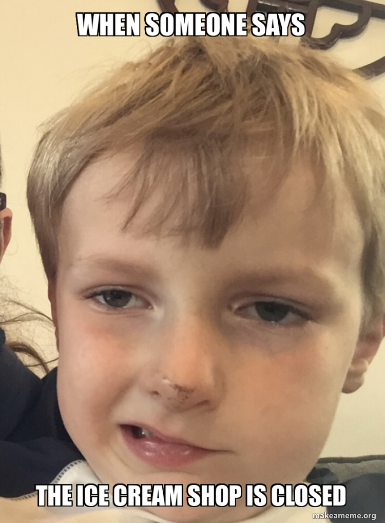 when someone says the ice cream shop is closed Meme Generator
