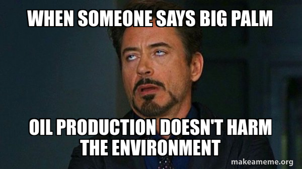 When someone says big palm oil production doesn't harm the environment ...