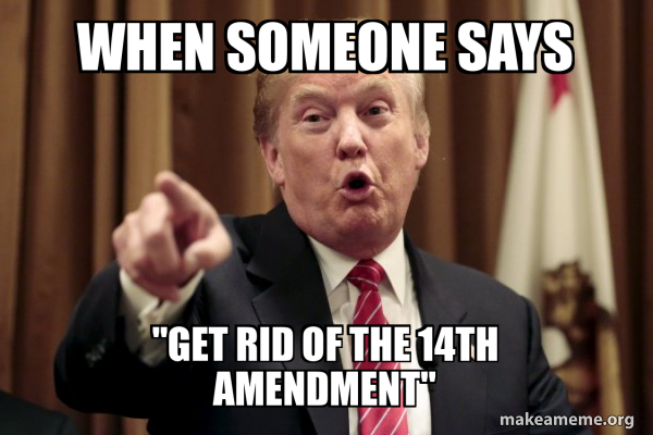 When someone says "Get rid of the 14th Amendment" - Donald Trump Says ...