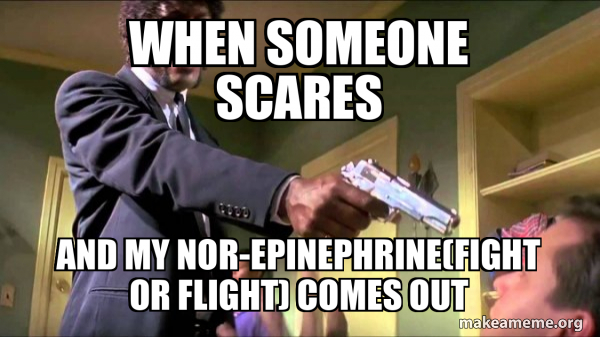 when someone scares and my Nor-epinephrine(fight or flight) comes out ...