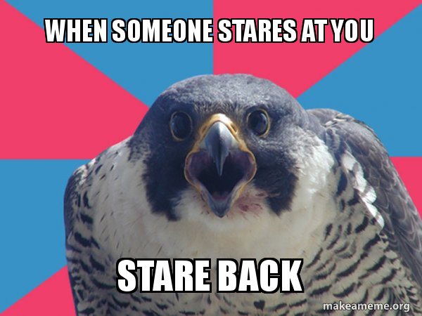 when someone stares at you stare back - Millennial Falcon Meme Generator