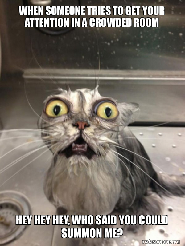 When someone tries to get your attention in a crowded room Hey hey hey ...
