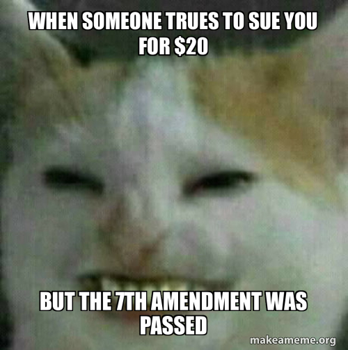 When someone trues to sue you for $20 But the 7th amendment was passed ...