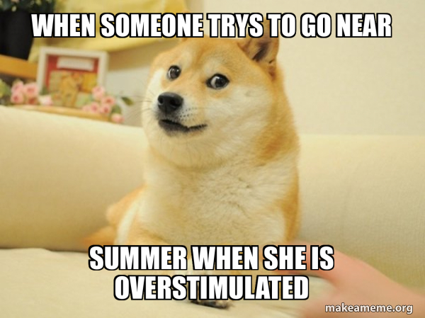when someone trys to go near summer when she is overstimulated - Doge ...
