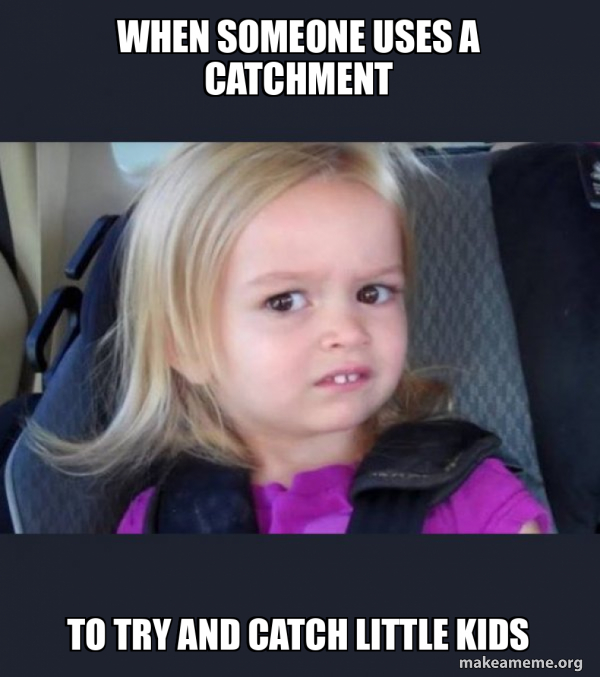 When someone uses a catchment to try and catch little kids - Side-Eyes ...