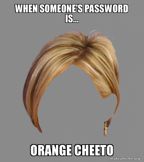 When someone's password is... Orange cheeto - The Karen Hair Meme Generator