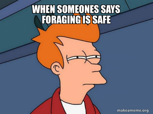 when someones says foraging is safe - Futurama Fry Meme Generator