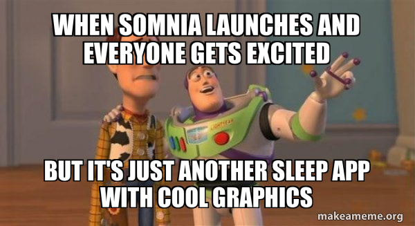 When Somnia launches and everyone gets excited But it's just another ...