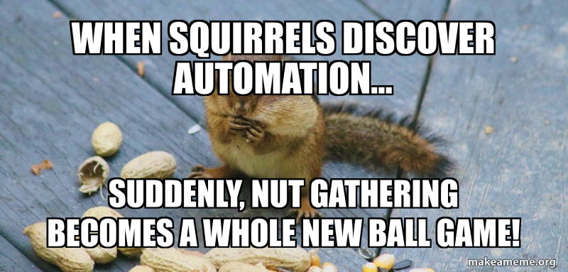 WHEN SQUIRRELS DISCOVER AUTOMATION... Suddenly, nut gathering becomes a ...