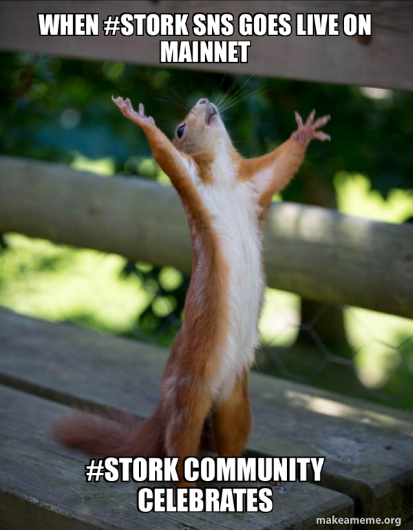 when #stork sns goes live on mainnet #stork community celebrates ...