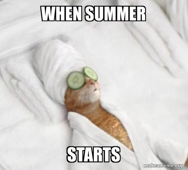 when summer starts - Pampered Cat Meme Meme Generator