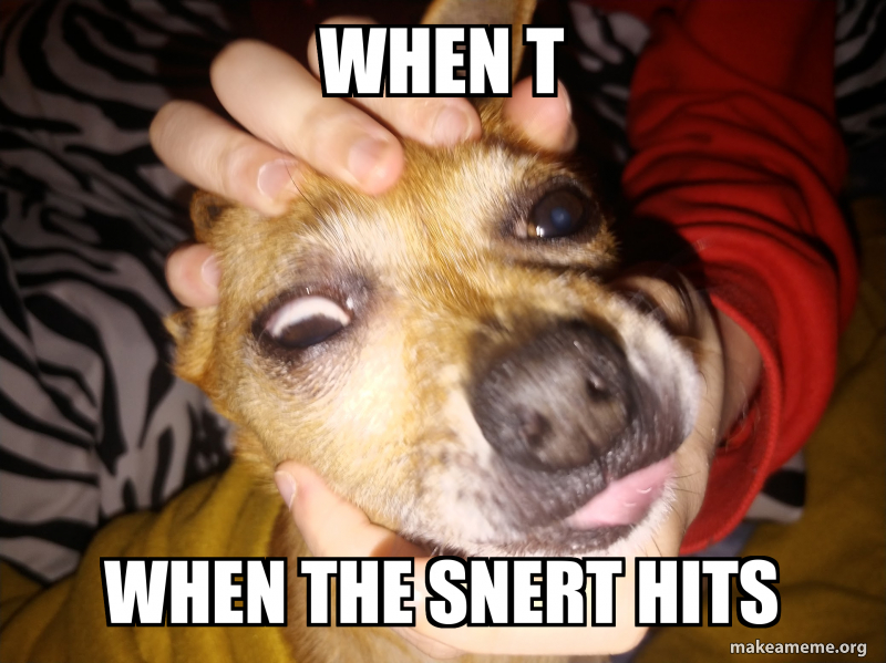when t when the snert hits Meme Generator
