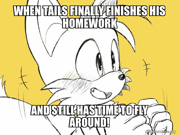 When Tails finally finishes his homework And still has time to fly ...