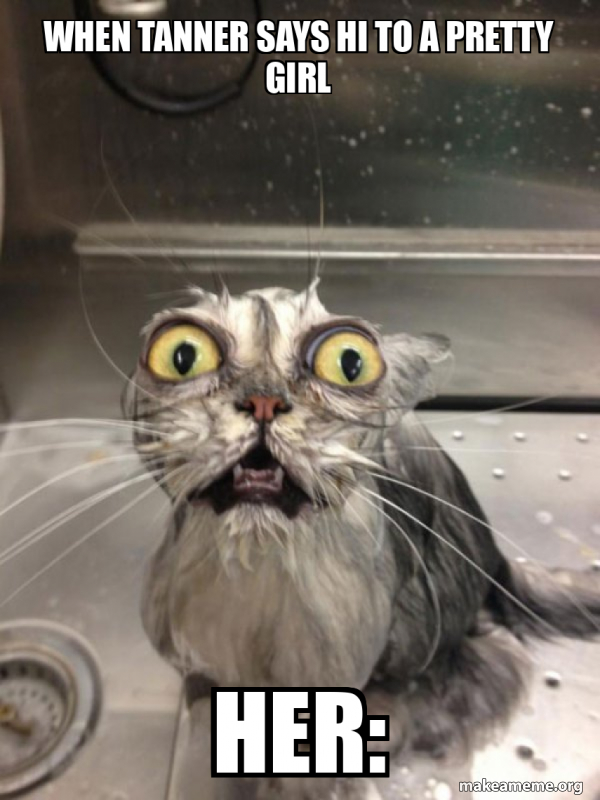 when Tanner says hi to a pretty girl her: - Cat bath Meme Generator