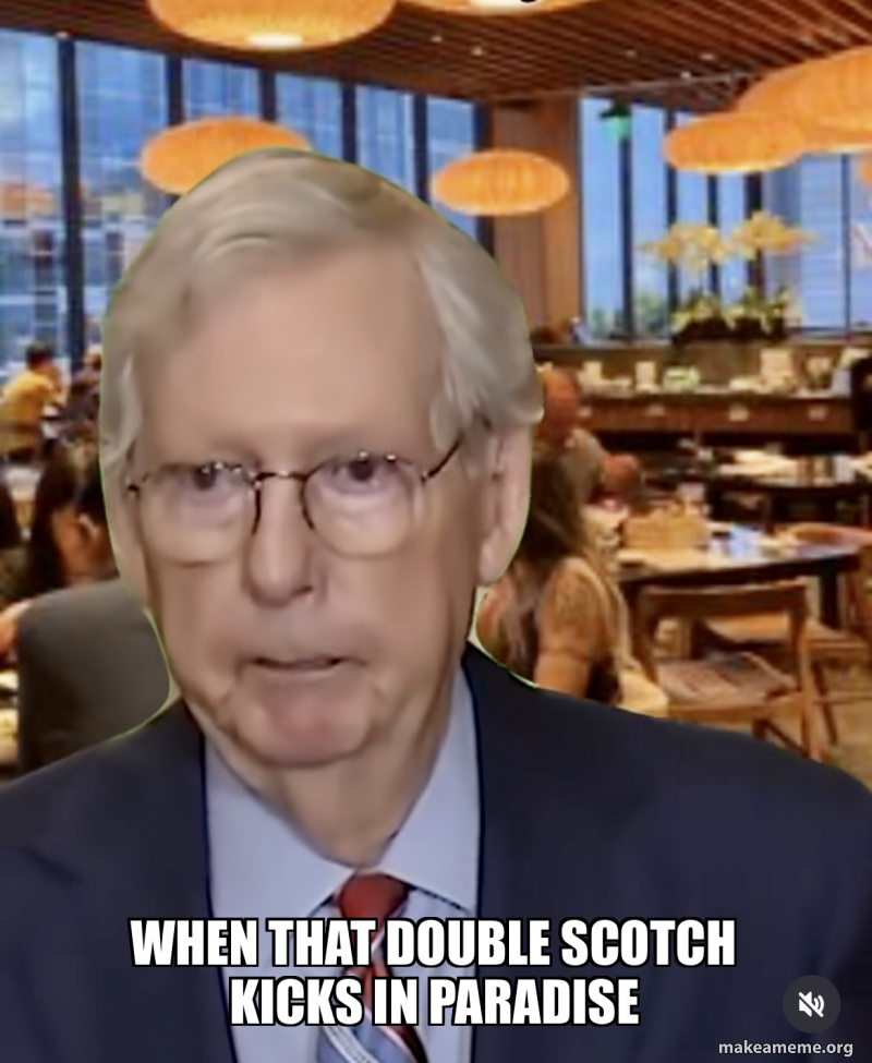 When that double scotch kicks in paradise Meme Generator