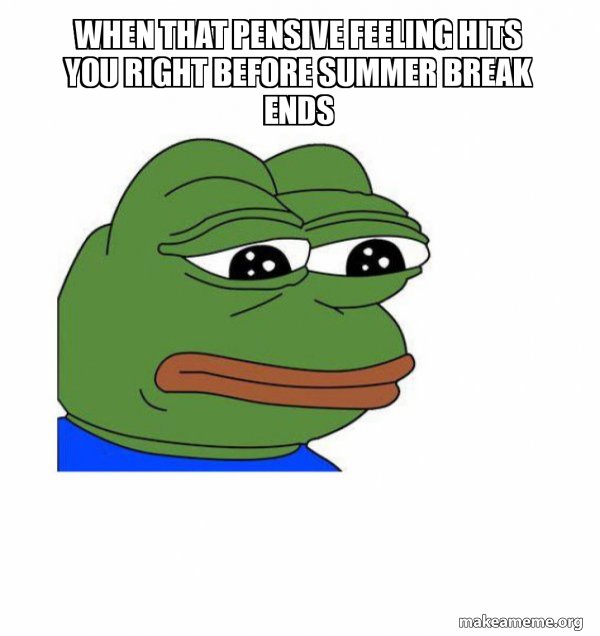 Pensive Memes School Memes | The Pensive Sloth