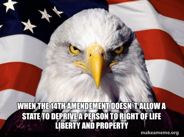 When the 14th Amendement doesn´t allow a state to deprive a person to ...