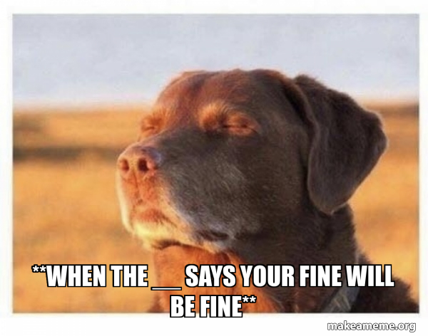 **when the __ says your fine will be fine** Meme Generator