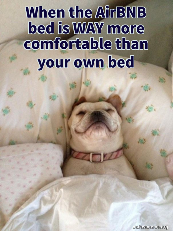 When the AirBNB bed is WAY more comfortable than your own bed Meme ...