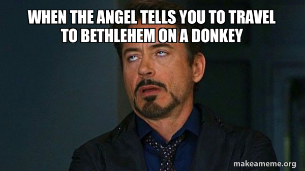 When the angel tells you to travel to Bethlehem on a donkey - Tony ...