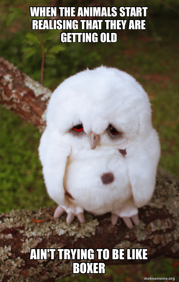 when the animals start realising that they are getting old ain't trying ...