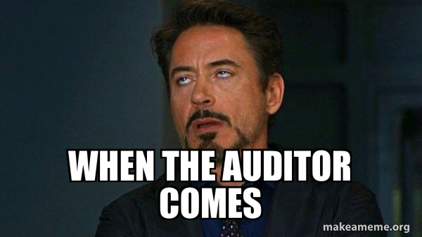 When the auditor comes - Tony Stark Eye Roll Meme Generator