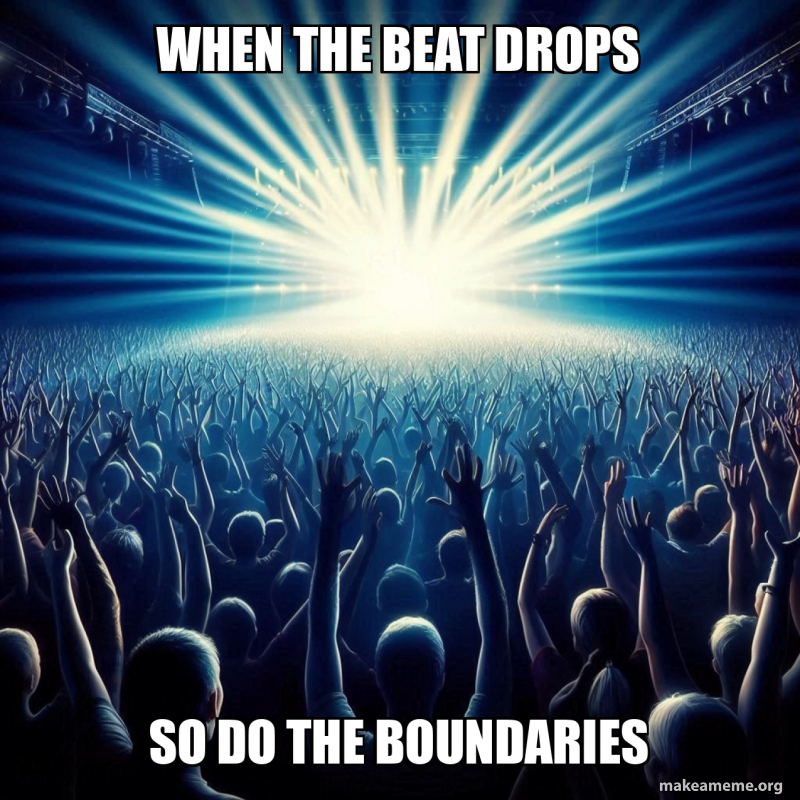 When the beat drops So do the boundaries - Concert Crowd Unity Visual ...