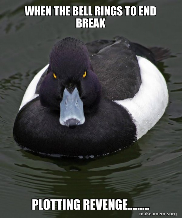 When the bell rings to end break Plotting revenge……… - Revenge Duck ...